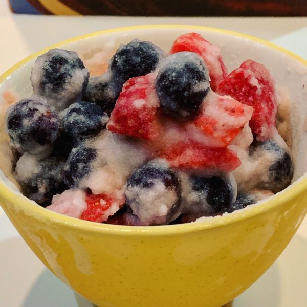 The Great Alone + Eskimo Ice Cream (Akutaq) - The Hungry Bookworm