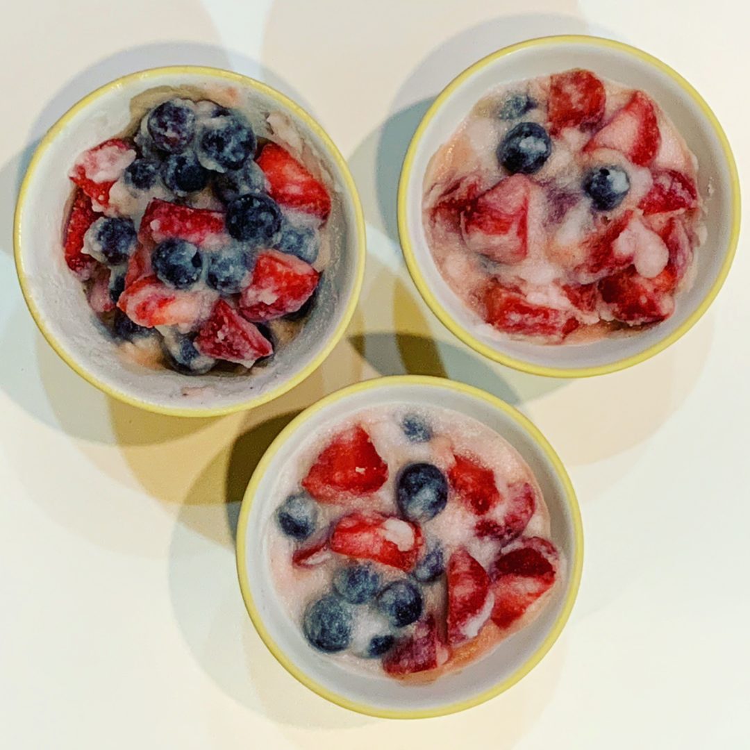 The Great Alone + Eskimo Ice Cream (Akutaq) - The Hungry Bookworm