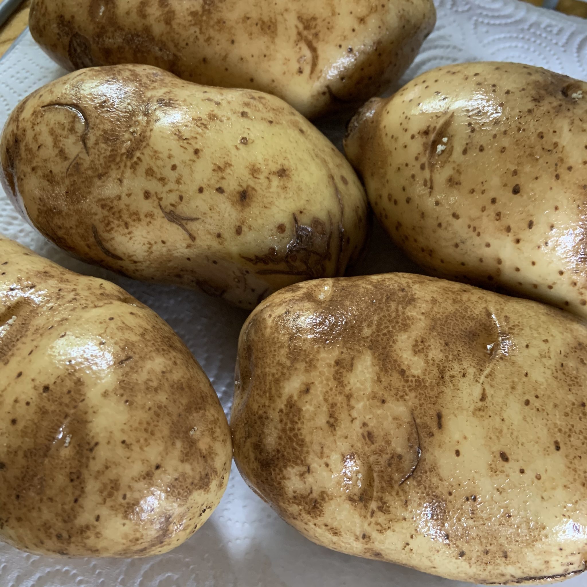 The Martian + book-inspired potato recipe - The Hungry Bookworm